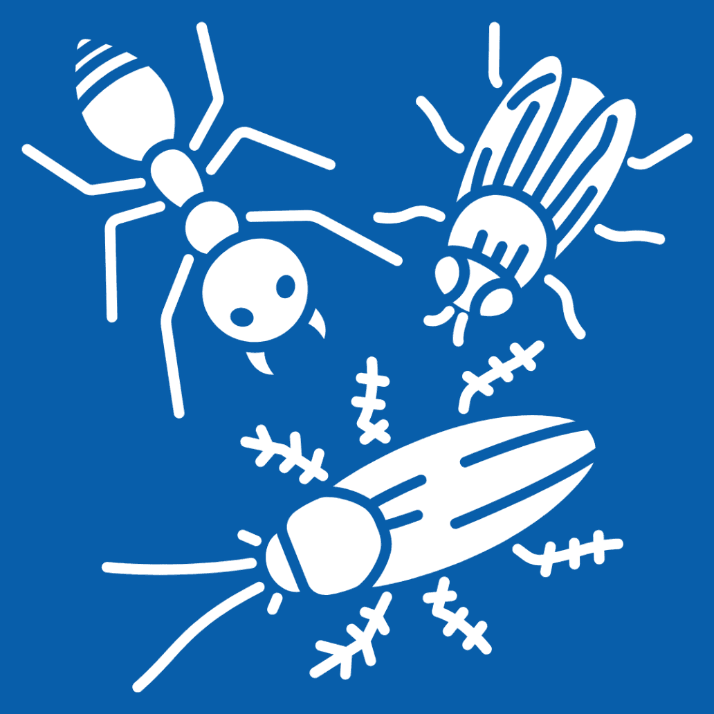 Healthy Homes - Communities Unlimited